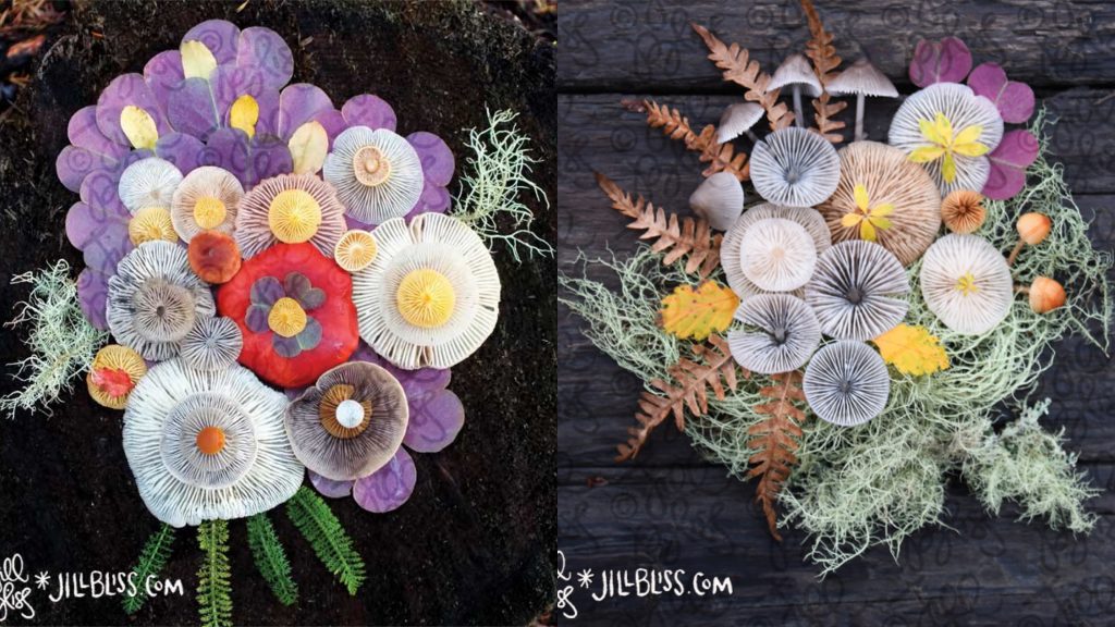 PHOTOS: Photographer Proves That Mushrooms Are Beautiful Too with ...