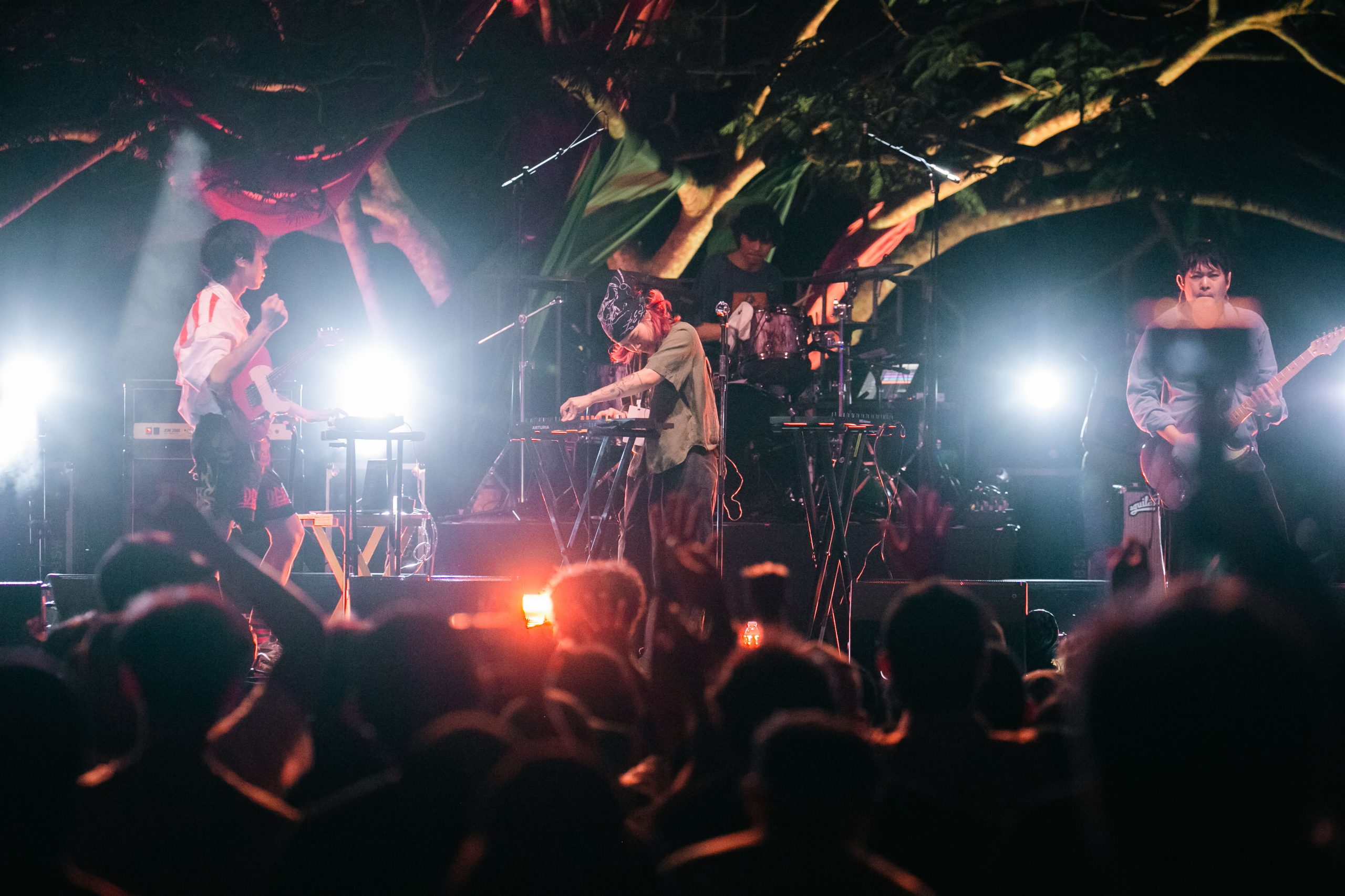 TAPAUfest 2025: A Weekend of Music, Mountains & Indie Magic