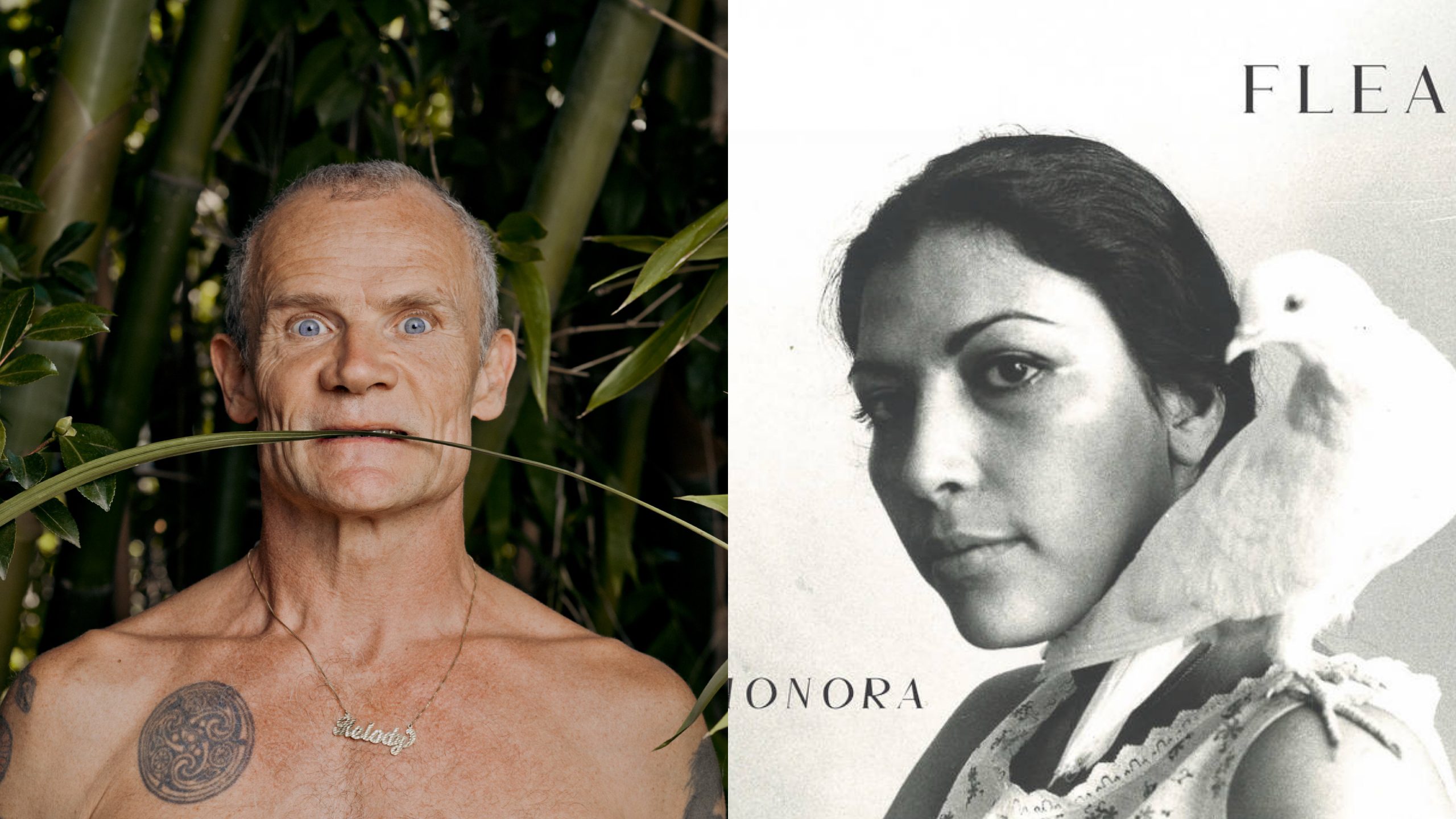 Trumpet, Jazz, Thom Yorke: Why Flea's 'Honora' Works