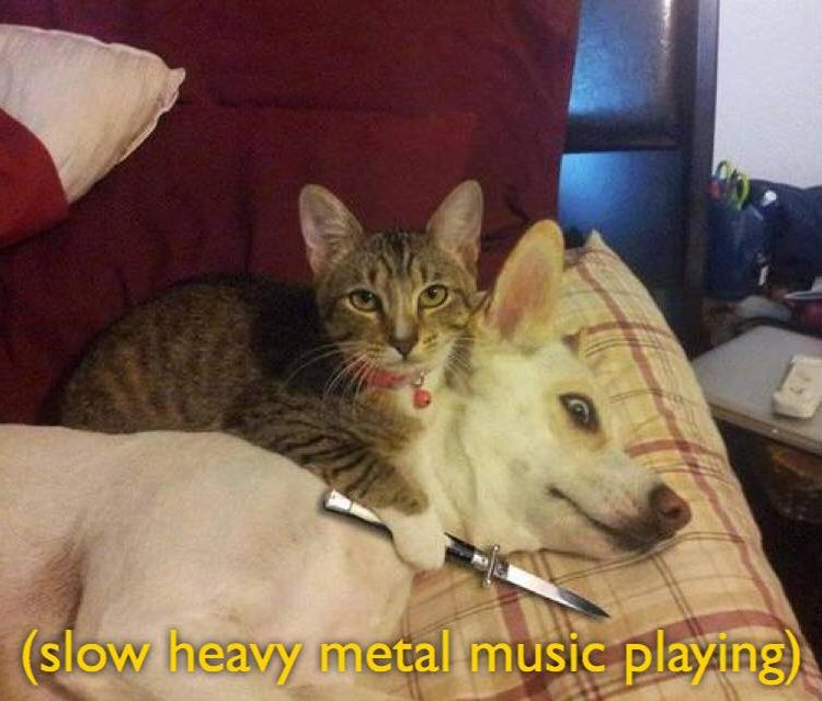 Metalhead Memes That Normies Would Never Know About